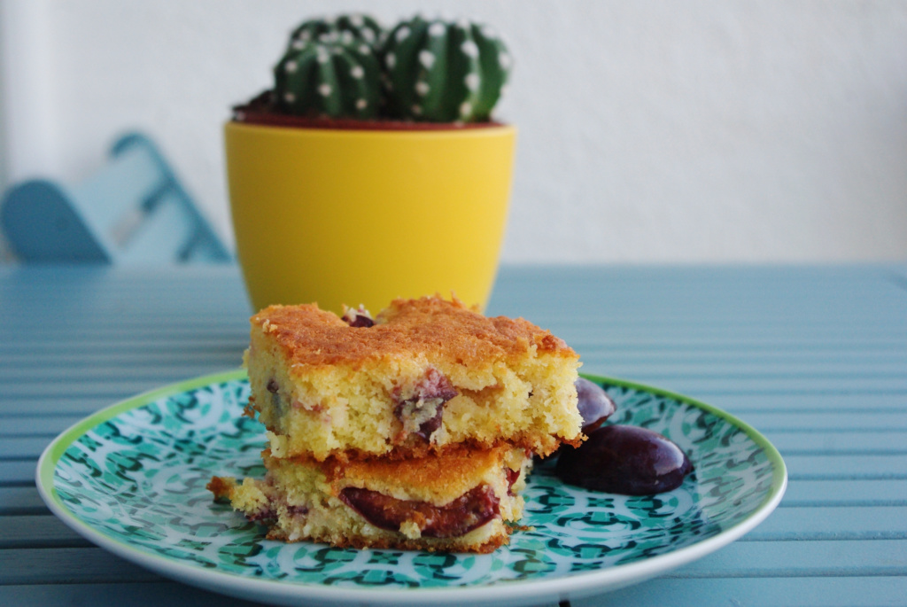 Biskvit sa šljivama - Mljac